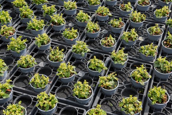 Erkenning voor Zampro, uitbreidingen van erkenning voor...