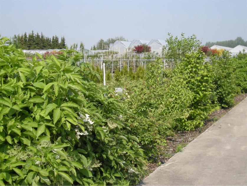 Erkenning Oblix 500 SC en uitbreiding Teppeki voor...