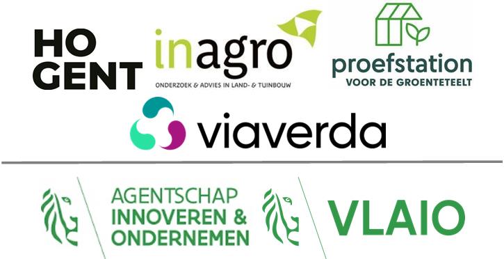 Infofiche sluipwesp (Trybliographa rapae)